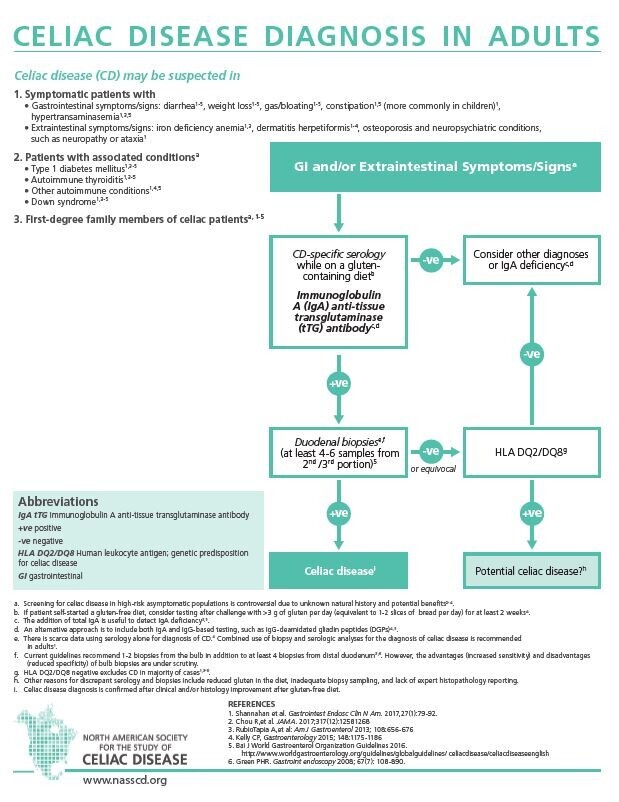 Adult Celiac Disease Guidelines – SSCD